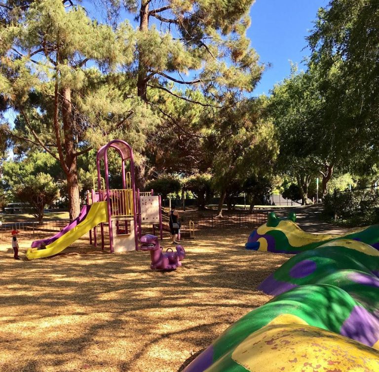 Newark Community Center Park – Autism Society San Francisco Bay Area
