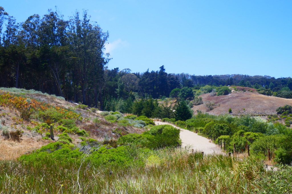 El Polin Spring Presidio – Autism Society San Francisco Bay Area